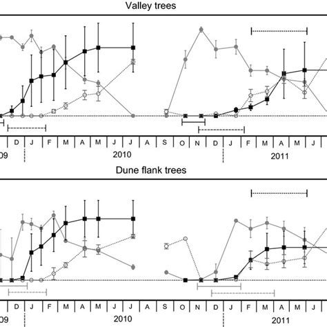 Schematic Representation Of The Coarse Root System Of A Valley Tree And Download Scientific