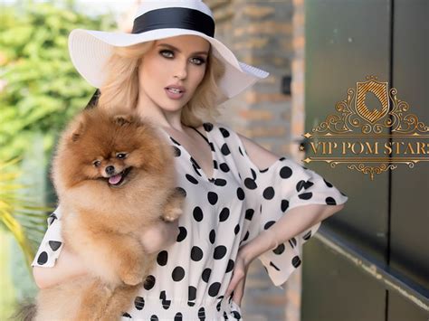 Mansu The Vip Pom Stars