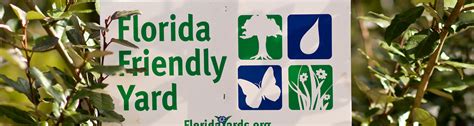 Florida Friendly Landscaping™ Program Marks 28th Year Of Protecting