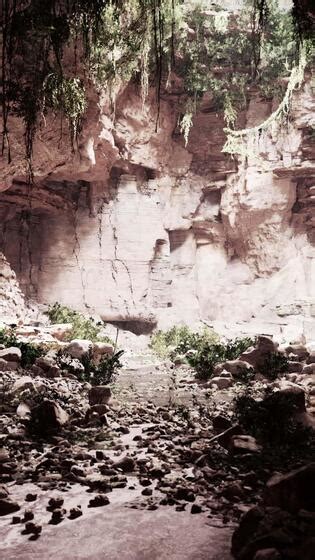 Page 2 Cenote Stock Video Footage For Free Download