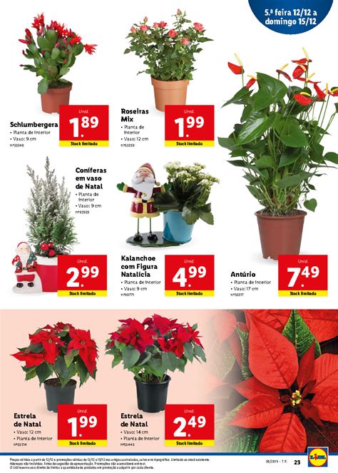 Folheto Lidl Flores 12 A 15 Dezembro Antevisão O Caça Promoções