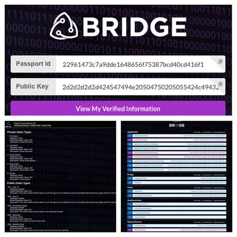 The Year Of Bridge Protocol — In Review By Bridge Protocol