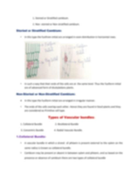 Solution Vascular Cambium Structure And Function Studypool