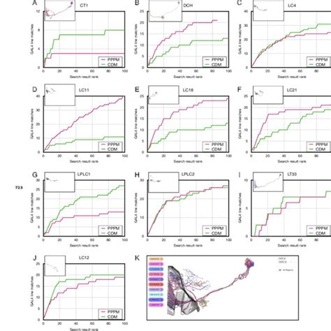 Correlating Individual Variability In Structural Connectivity