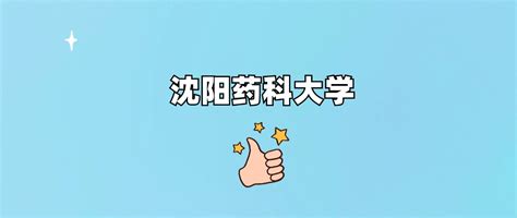 沈阳药科大学是985还是211附2024年录取分数线汇总 高考100