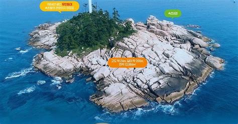동해의 보물 조도바닷속 해양생태계 기후변화 지표종 발견 7월 무인도서