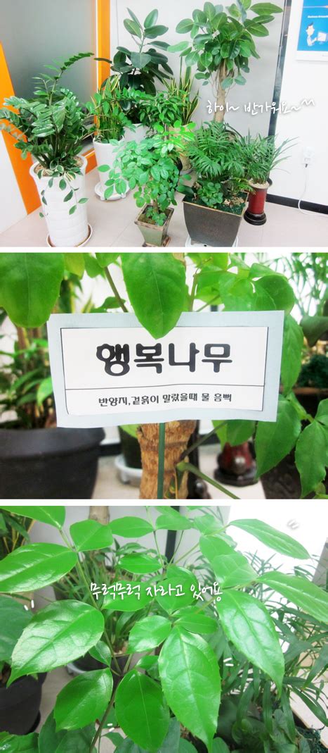 주비즈니스아츠 Shining Your Business