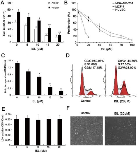 A After Incubation With Various Concentrations Of ISL For 48 H With Download Scientific