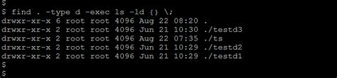 Useful Find Command In Unixlinux With Example Techgoeasy
