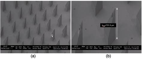Microneedle Array Obtained By The Double Dxrl Process Combining