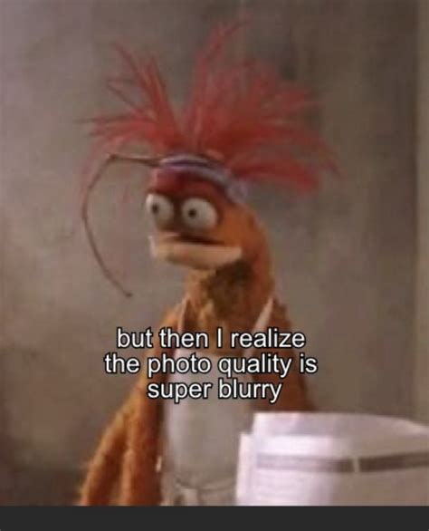 Pepe The King Prawn Meme Template — Tiktoks Orange Muppet — Kapwing