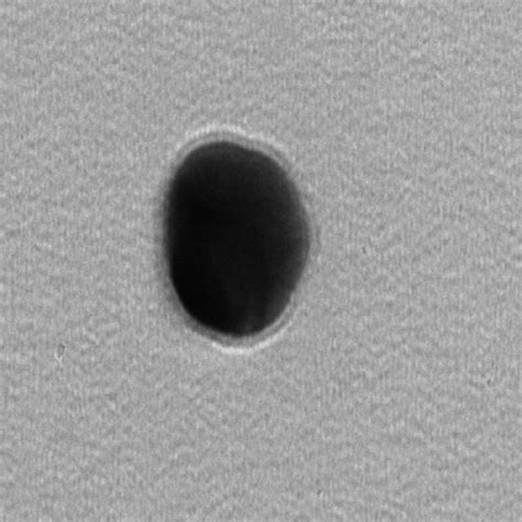金纳米材料 中空介孔二氧化硅硅包磁颗粒纳米颗粒 南京基科生物科技有限公司