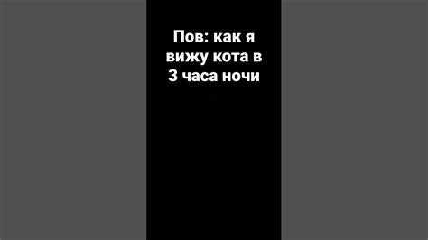 Мем кот Youtube