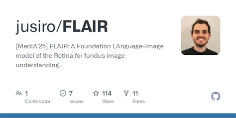 Flair Main Pretrain Py At Main Jusiro Flair Github