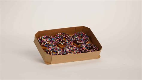 Talerico Martin Bakery Chocolate Iced Yeast Donut With Sprinkles