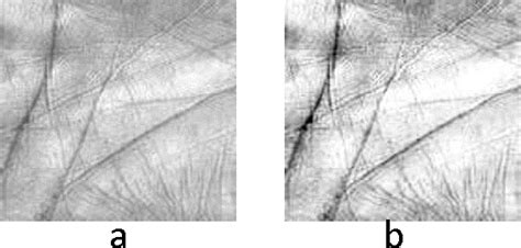 figure 2 from contactless palmprint recognition based on convolutional
