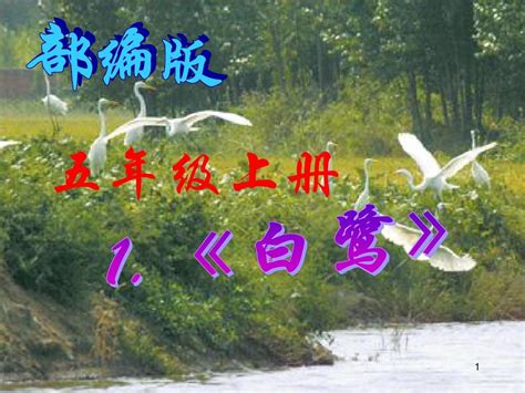 2019年秋五年级语文上册第1课《白鹭》课件18张部编版word文档在线阅读与下载无忧文档