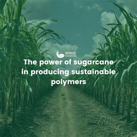 South African Sugar Association On Linkedin Biofuels Innovation
