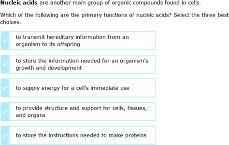 Compare The Structure And Function Of Carbohydrates Lipids Proteins And