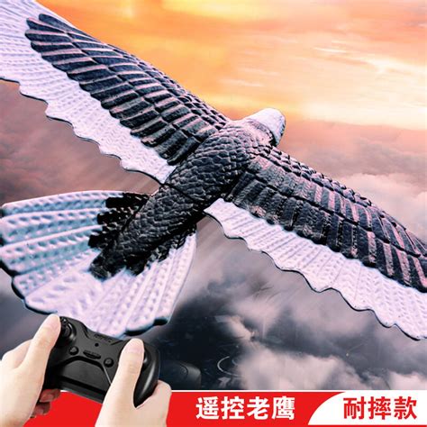遙控飛機小飛鳥老鷹能飛電動航模固定翼滑翔機網紅動物玩具飛行器 露天市集 全台最大的網路購物市集