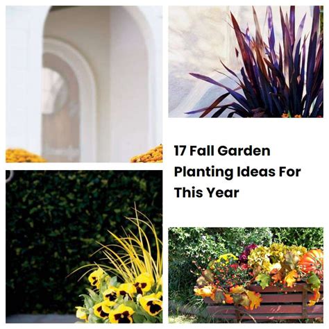 17 Fall Garden Planting Ideas For This Year Sharonsable