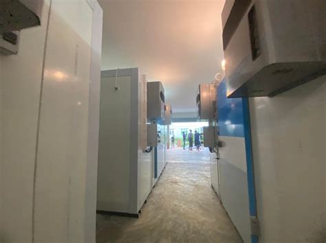 Mega Global Green Automation Home