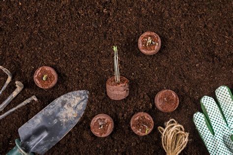 Free Photo Flat Lay Gardening Composition With Copyspace