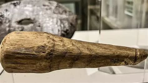 This 63 Inch Wooden Object May Have Been Used As Sex Toy 2000 Years