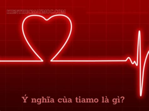 Tiamo Là Gì Ý Nghĩa Của Tiamo Trong Tiếng ý Pháp And Tây Ban Nha