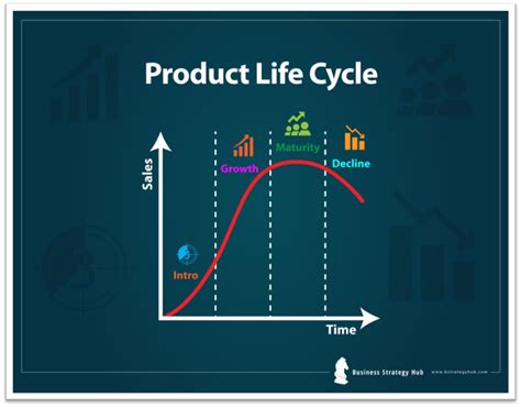 Stages Of The Life Cycle