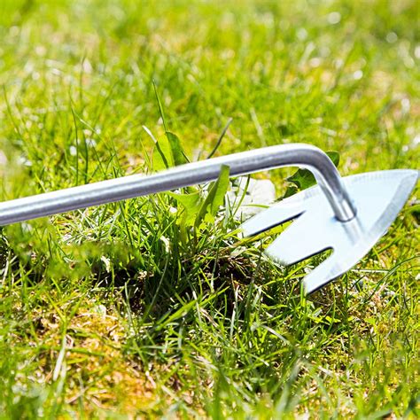 Jmkqlz Weed Remover Stainless Steel Uprooting Pulling Tool Gardening Hoe Rake Agricultural Tools