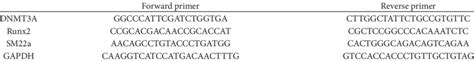 primers of rat dnmt3a runx2 sm22a gapdh download scientific diagram
