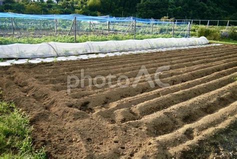 畑のある風景 No 24885140写真素材なら写真AC無料フリーダウンロードOK