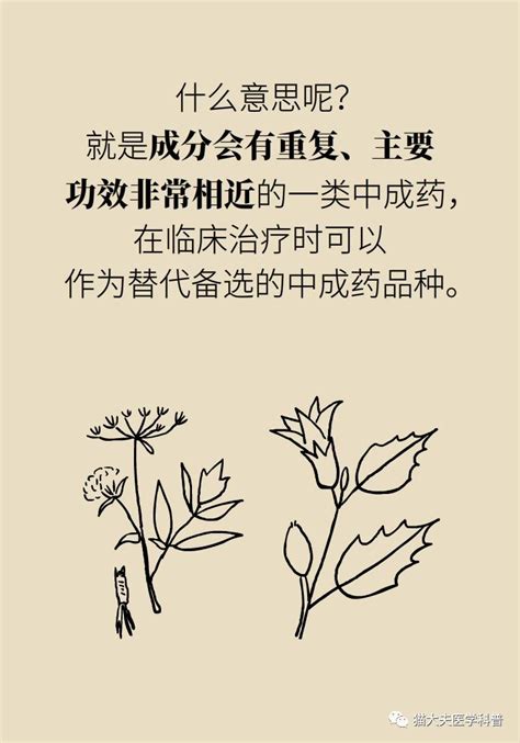 中成药说明书中尚不明确意味着啥是不是有危险 澎湃号湃客 澎湃新闻 The Paper