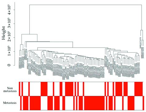 Clustering Dendrogram Of Samples Download Scientific Diagram
