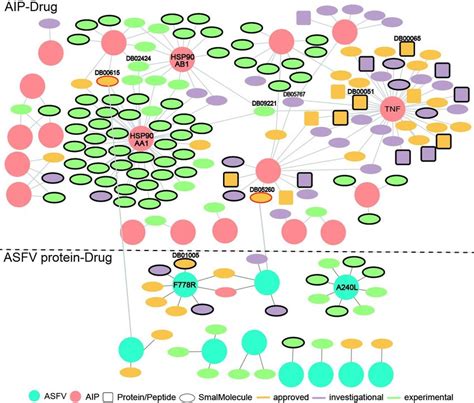 Predicted Drugs Targeting The Aips And Asfv Proteins The Interactions