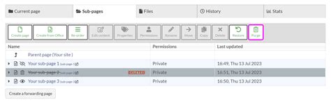 Delete Pages SiteBuilder Manual IDG