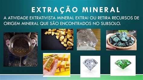 Atividades Sobre Extrativismo Ano