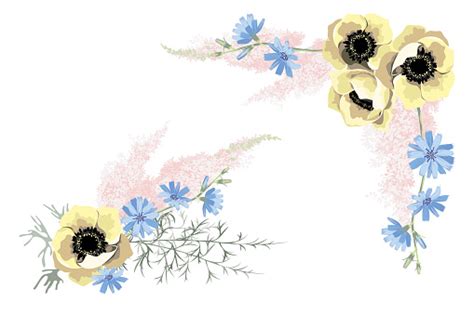 Anem 세트 핑크 모란 아스틸베 치커리 옐로우 와 보라색 말미잘 꽃 흰색 배경에 격리 식물 스타일 0명에 대한 스톡 벡터 아트 및 기타 이미지 Istock