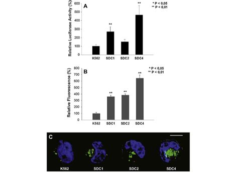 Lipoplex Mediated Gene Delivery Into Sdc Overexpressing Cells