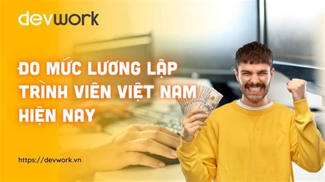 Đo Mức Lương Lập Trình Viên Việt Nam Hiện Nay
