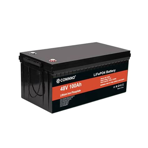48v 100ah Lifepo4 Battery Custom Lithium Ion Battery