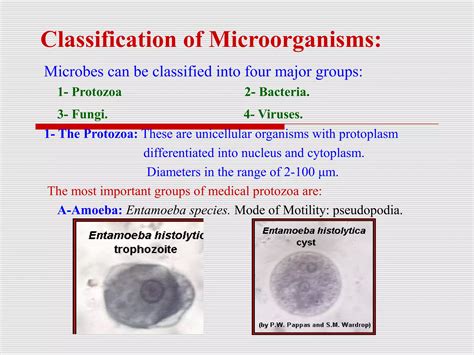 Classification Of Microorganisms Lecture 2 Ppt Biological Sciences Science