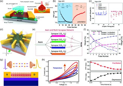 Neuromorphic Applications Of The 2d Material Based Memory Devices A