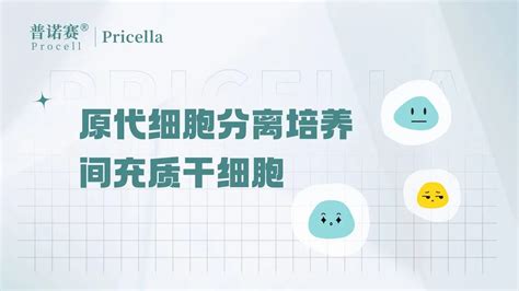 原代细胞分离培养 间充质干细胞 武汉普诺赛生命科技有限公司