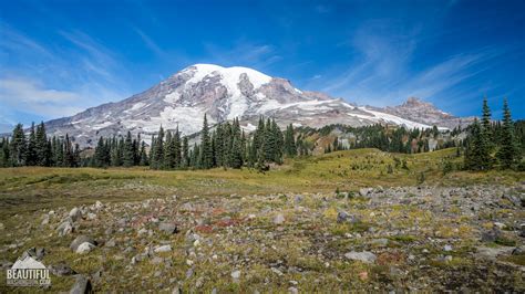Reflection Lakes Trail