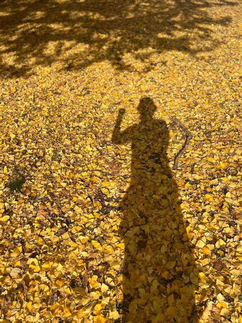 家族になりたい人とセックスしたい人は違うよね⁉ 離婚するか、婚外恋愛を続けるか、悩む日々を綴ります
