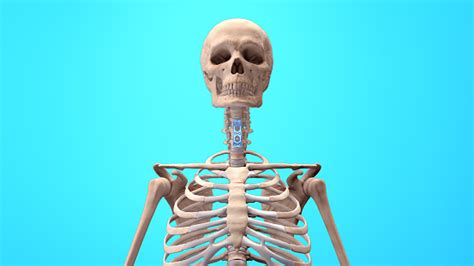 Orthopedic Spine Fixation Spinal Fixator Anterior Cervical Plate 照片檔及更多