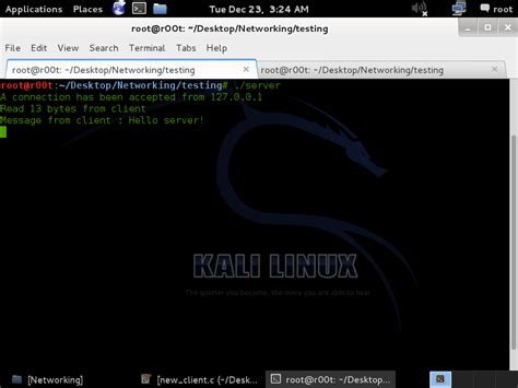 Client Server Program In C Programming Ethical Hacker Way