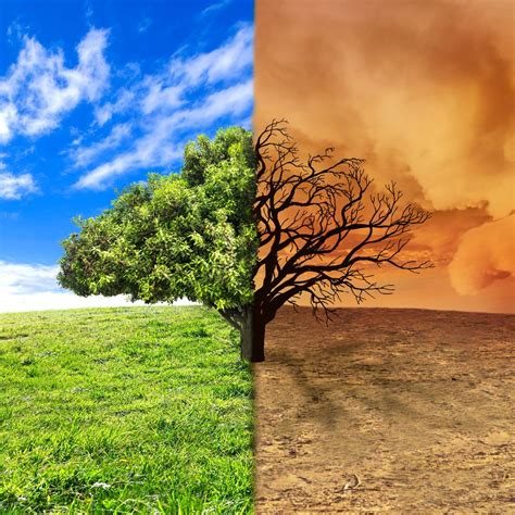 European Companies Climate Friendly Activities A New Analysis
